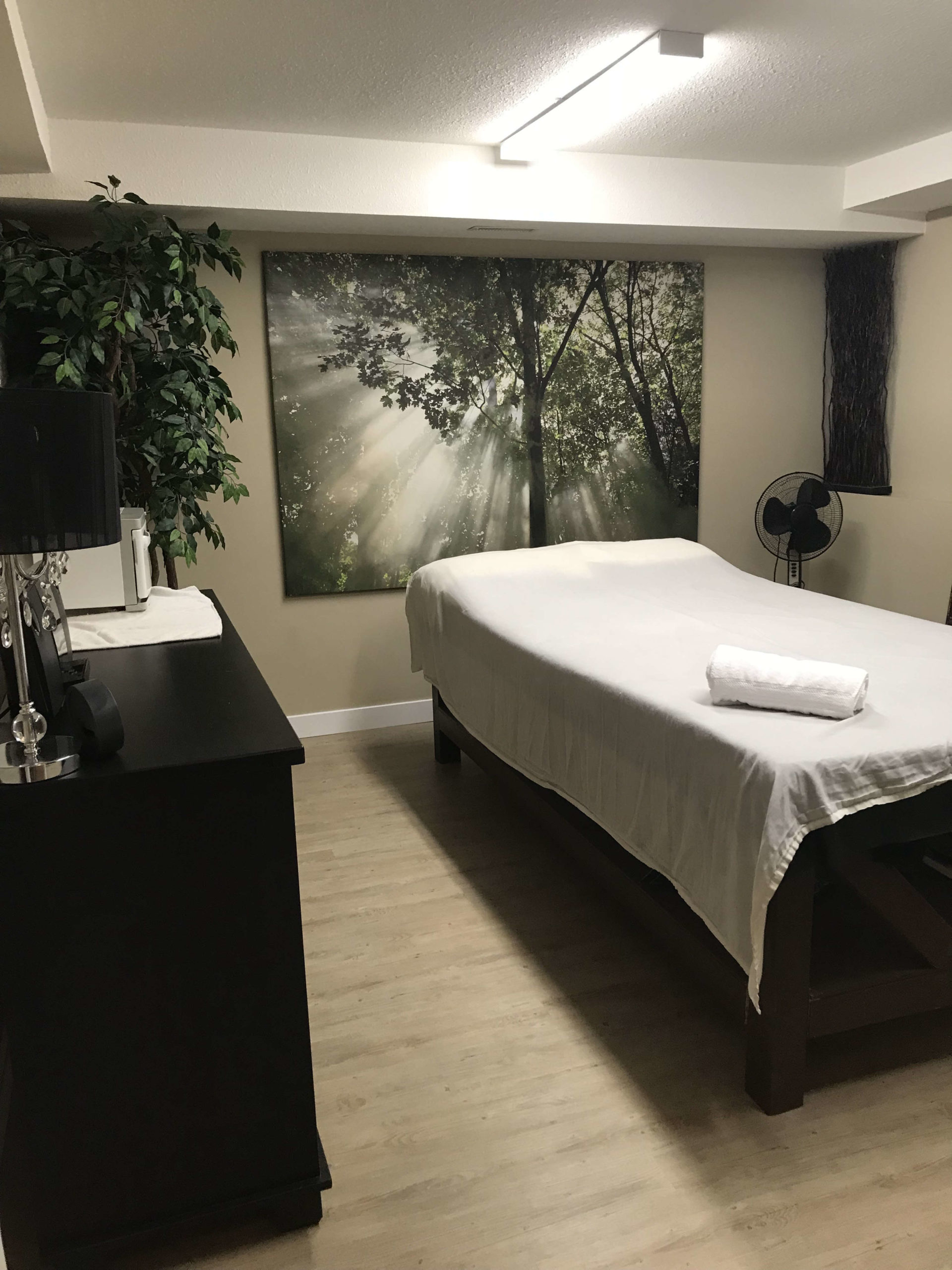 Elysium Spa YYC – Calgary Nuru Massage and Hot Oil Relaxation Massage.
